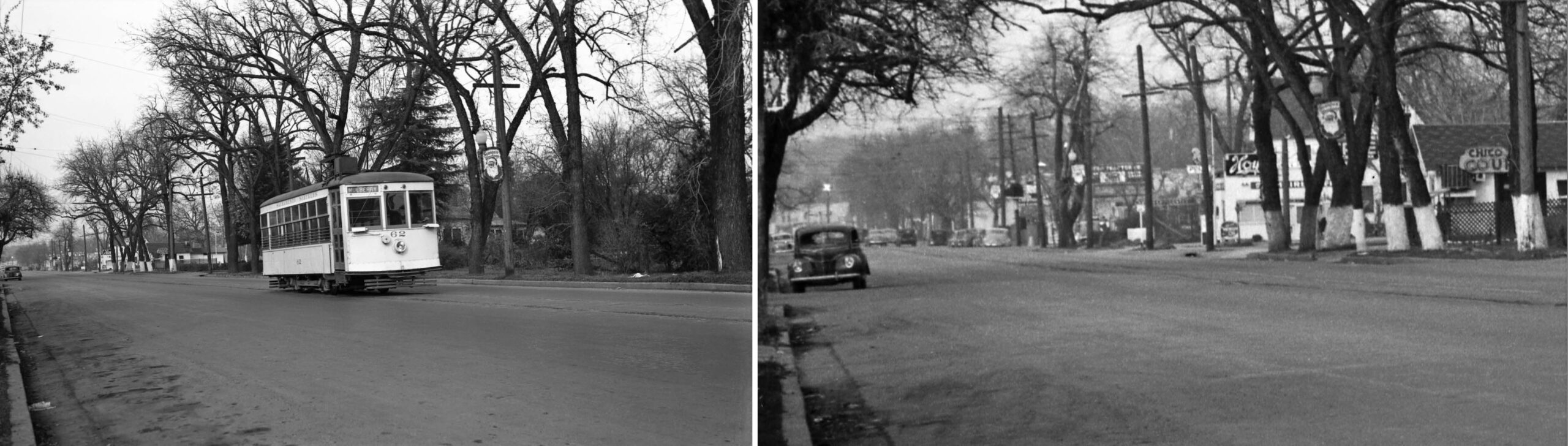 And to Think That I Saw it in Mulberry Yard - East Bay Hills Project